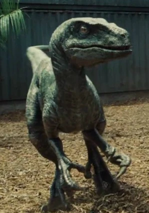 Delta | The Chronicles of Equestira and the Isle of Berk Wikia | Fandom