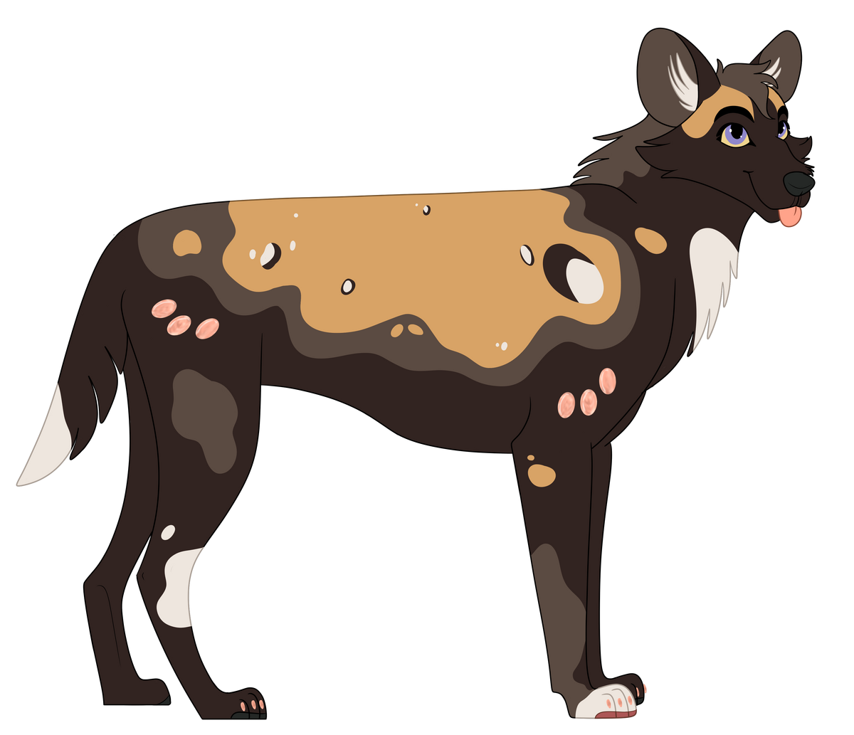 Nebula The Chronicles Of Illirah Wiki Fandom