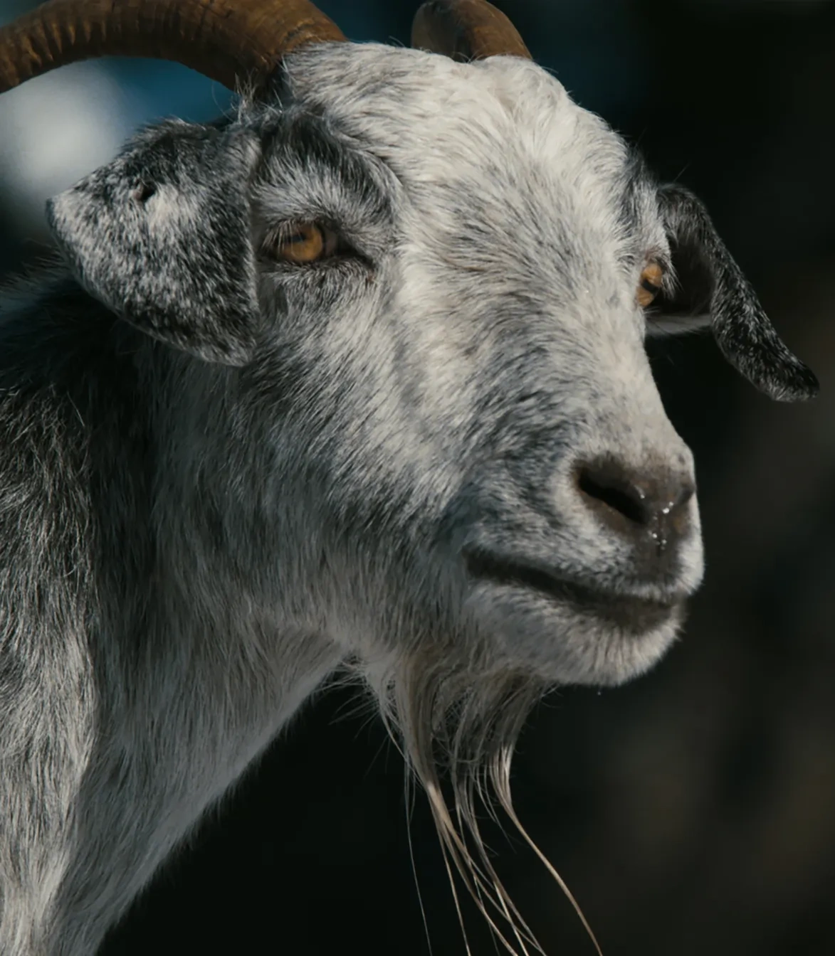 Joseph The Goat (Dimension-28993) | The Chuckle Nuts Multiverse Wiki ...