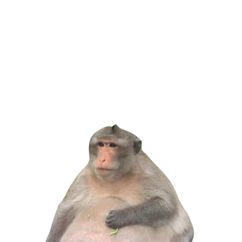 Floppa Chips | The Church of Monke Wiki | Fandom