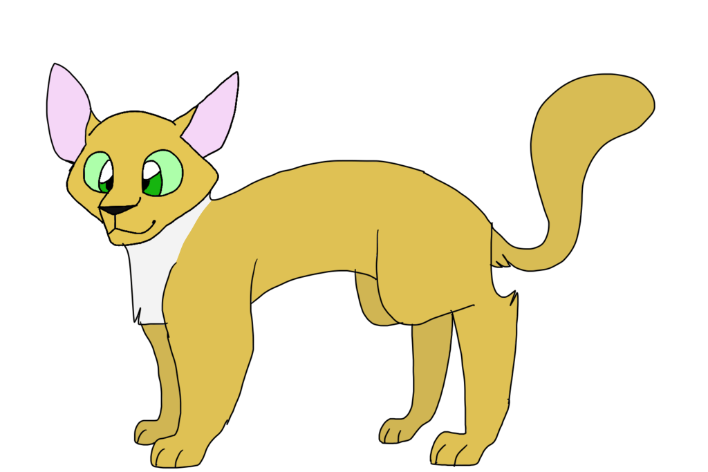 Brightpaw | The Clans United Wiki | Fandom