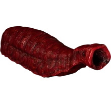 Anomalies | The Classrooms Unofficial Wiki | Fandom