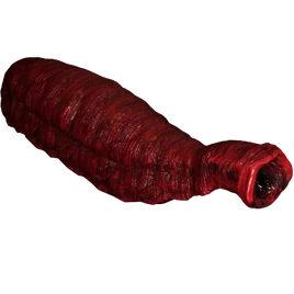 Leeches | The Classrooms Unofficial Wiki | Fandom