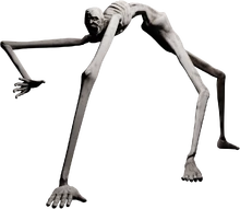 Custom Mode | The Classrooms Unofficial Wiki | Fandom