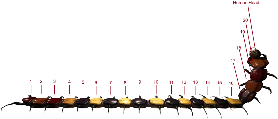 Necropede | The Classrooms Unofficial Wiki | Fandom