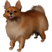 Custom Mode | The Classrooms Unofficial Wiki | Fandom