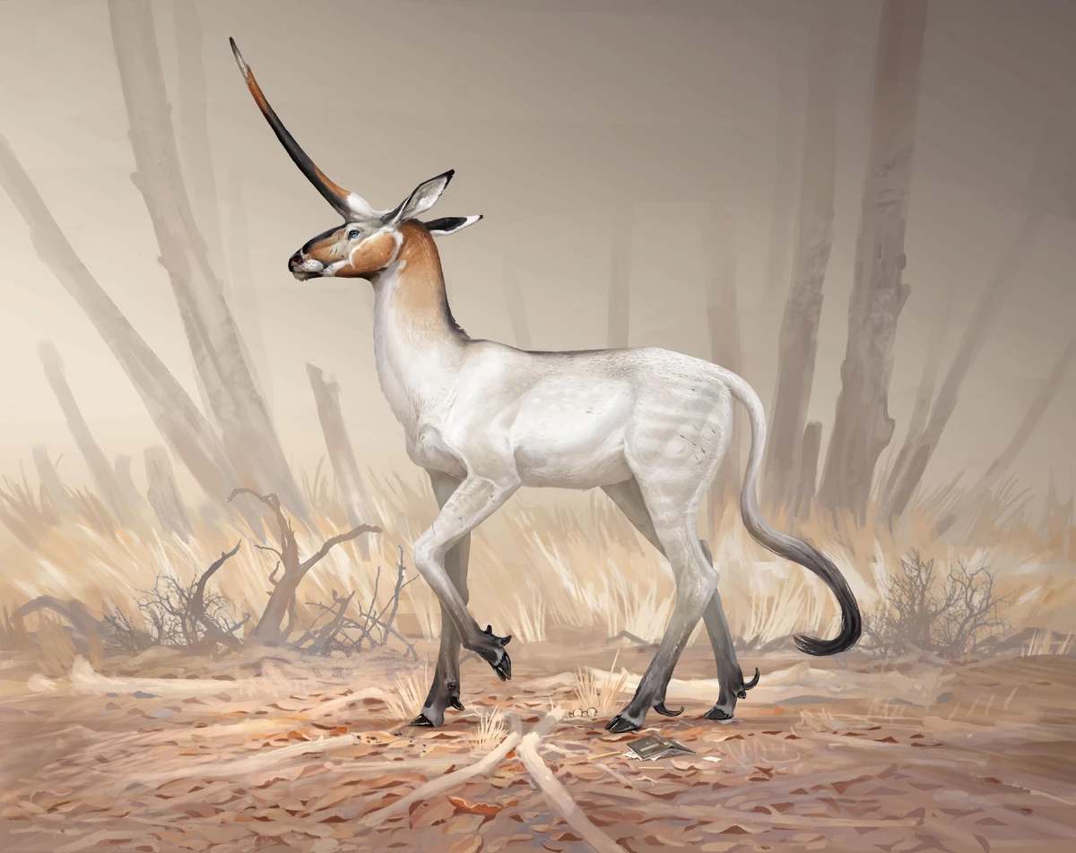 Re'em | The Clockwork Cat Wiki | Fandom