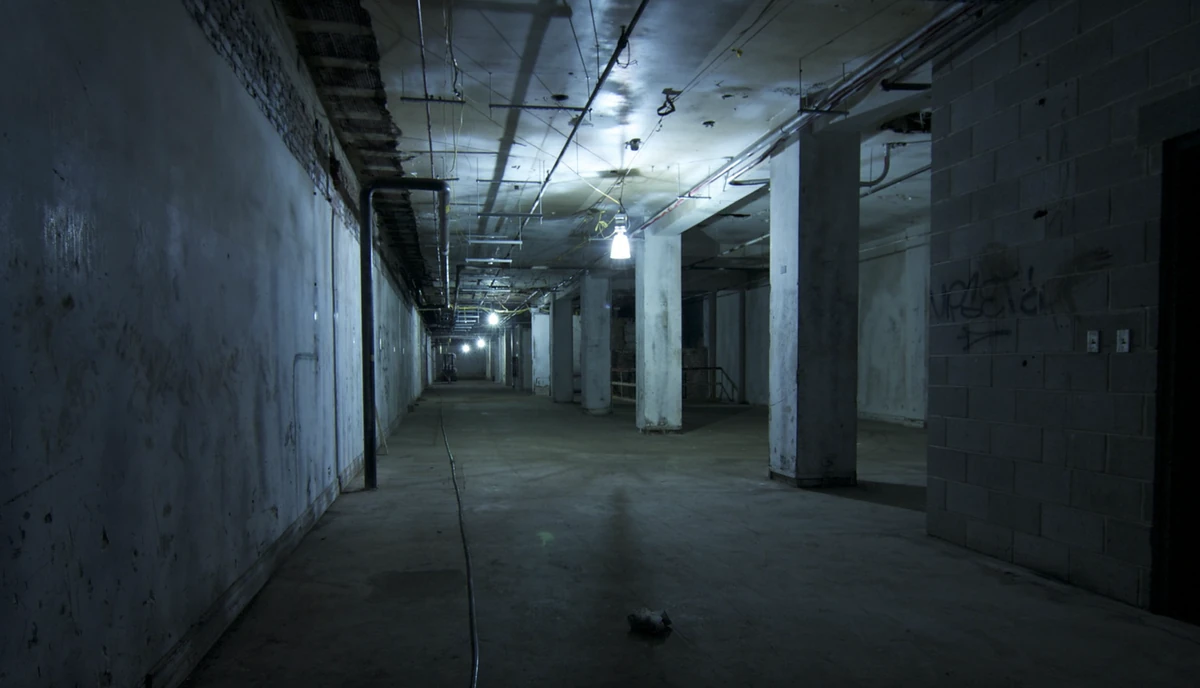 Level 2: "The Basement" | The Collective Database Wiki | Fandom