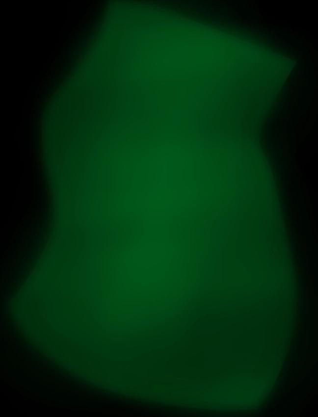 Quilk | The colonies of Aojeernar Wiki | Fandom