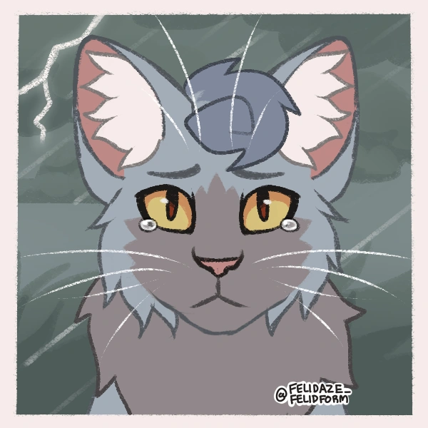 Cloudmist | The coming storm a warrior cats Wiki | Fandom
