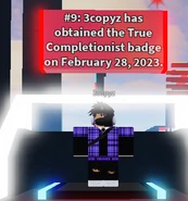 True Completionist | The Completionist Series Wiki | Fandom