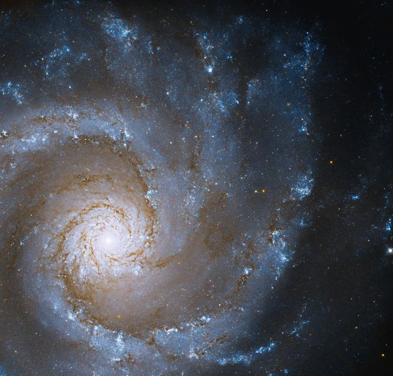 New Phoenix | The Conscious Cosmos Wiki | Fandom