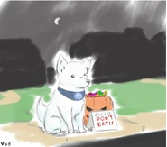 Hope Corgi | The /co/nservatory Wiki | Fandom