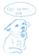 Hope Corgi | The /co/nservatory Wiki | Fandom