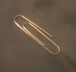 Clippy/Gallery | The Container Wiki | Fandom