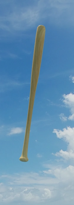 Baseball Bat | The Cool Zone Wiki | Fandom