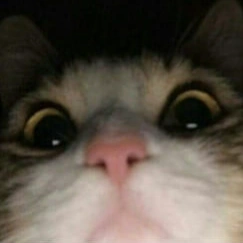 Death of SadScotsman | The Cooler Server Wiki | Fandom