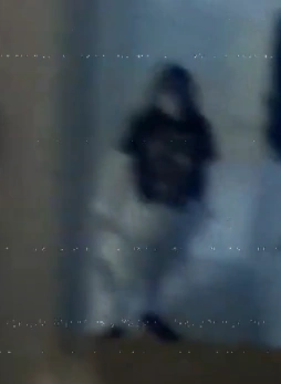 Impersonators | The Cray Cases Wiki | Fandom