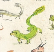 Hawk Lizard | The Croods Wiki | Fandom