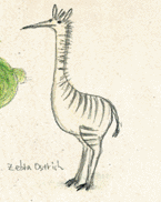 Zebra Ostrich | The Croods Wiki | Fandom