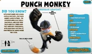 Punch Monkeys | The Croods Wiki | Fandom