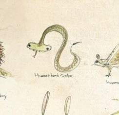 Hammerhead Snake | The Croods Wiki | Fandom