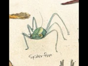 Spider Frog | The Croods Wiki | Fandom