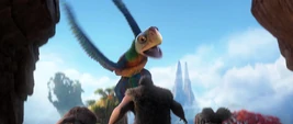 Turtle Dove | The Croods Wiki | Fandom