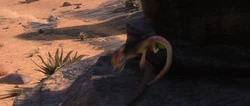 Croods Liyote