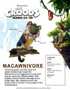 Macawnivore | The Croods Wiki | Fandom