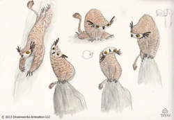how to draw a bear owl from the croods