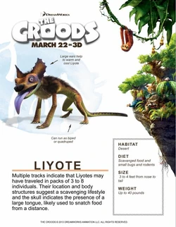 Croods Liyote