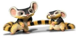 Na Croods Turas Gerbil