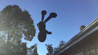 Flower Wizard Has a flight | The Cross Between Universes Wiki | Fandom