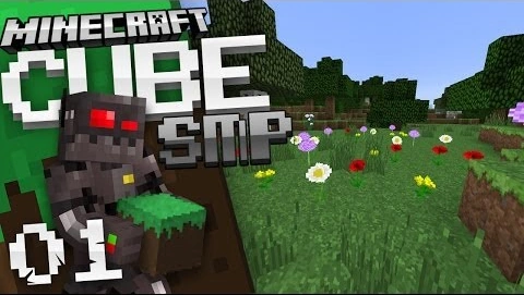 Cube SMP (Season 1) | The Cube SMP UHC Evo Wiki | Fandom