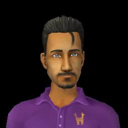 Craig Bailey | The Customized Sims Wiki | Fandom