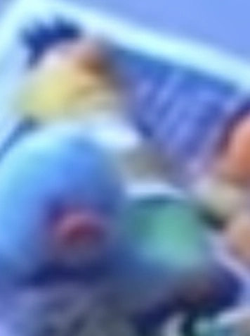 Bert | The Cute Mario Bros & Elmo Fan Wiki | Fandom