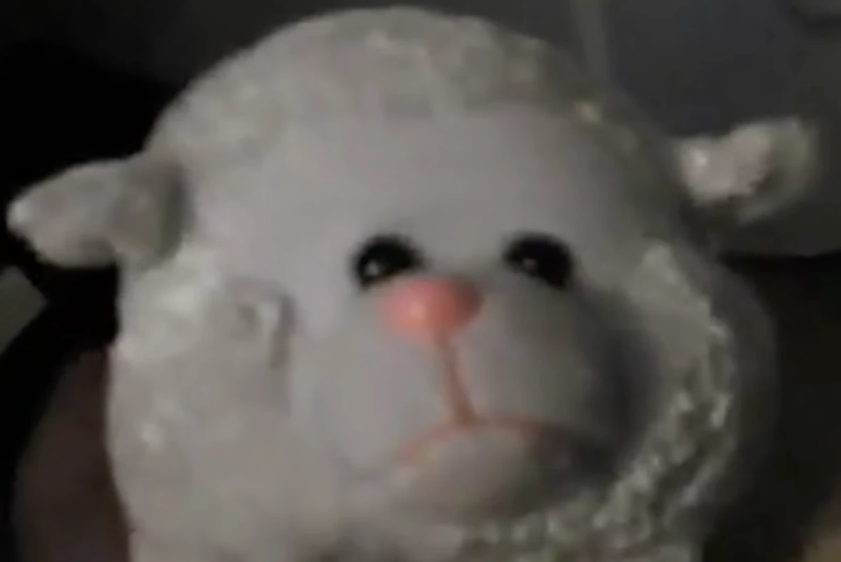 Lamb | The Cute Mario Bros & Elmo Fan Wiki | Fandom