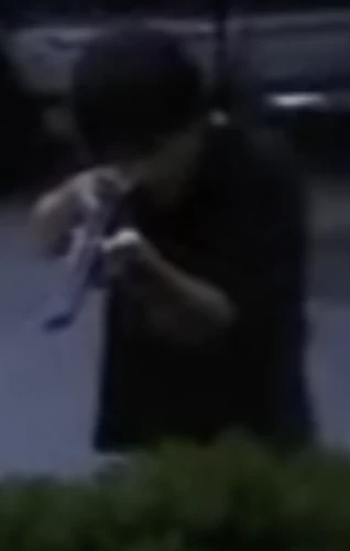 Hunter | The Cute Mario Bros & Elmo Fan Wiki | Fandom