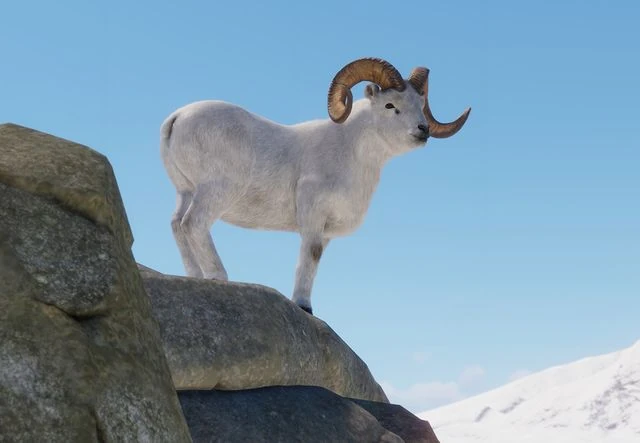 Dall Sheep | The Cute Parody Wiki | Fandom