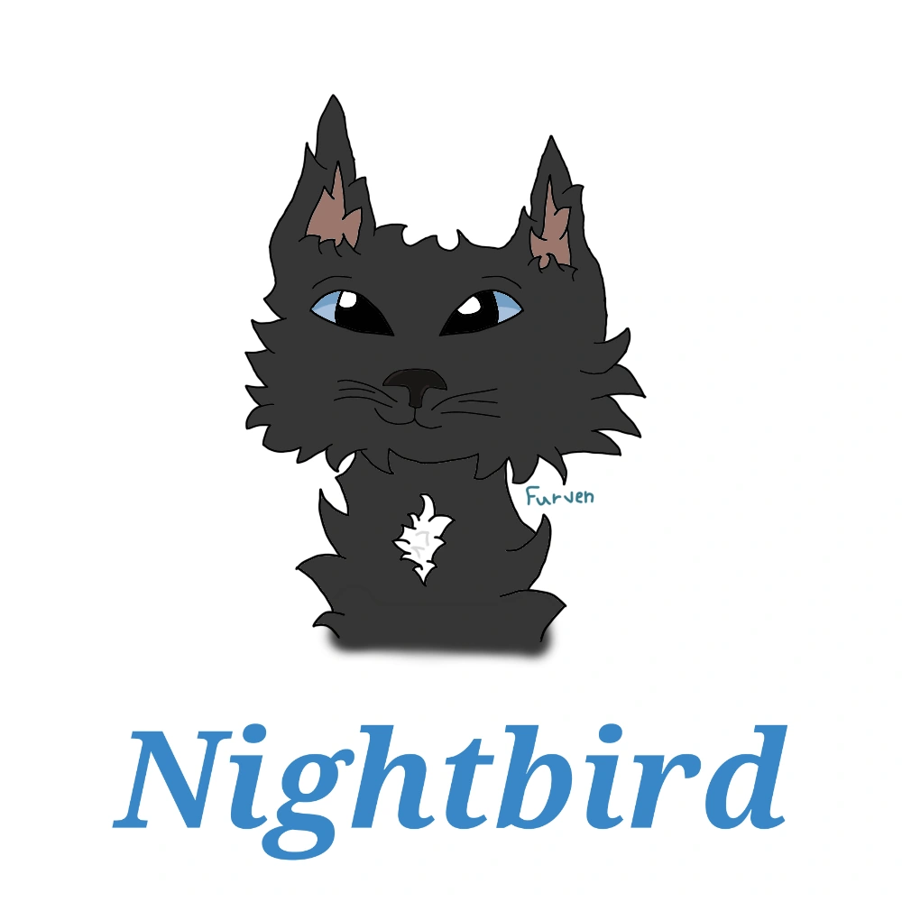 Nightbird (oc) | The Cute Wiki | Fandom