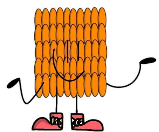 50 Carrot Sticks | The Cyborg Barrb Wiki | Fandom