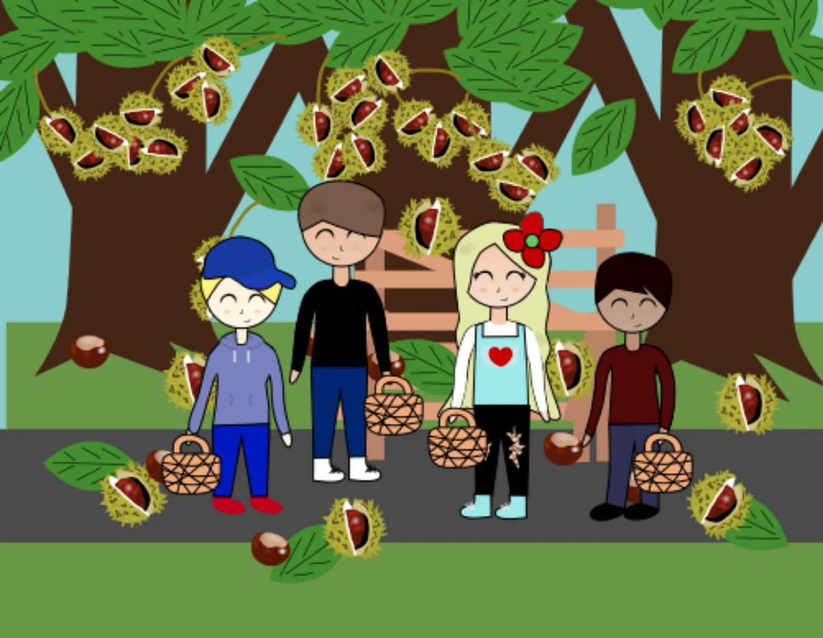 Autumn Special 2024 | The Cyclist Wiki | Fandom
