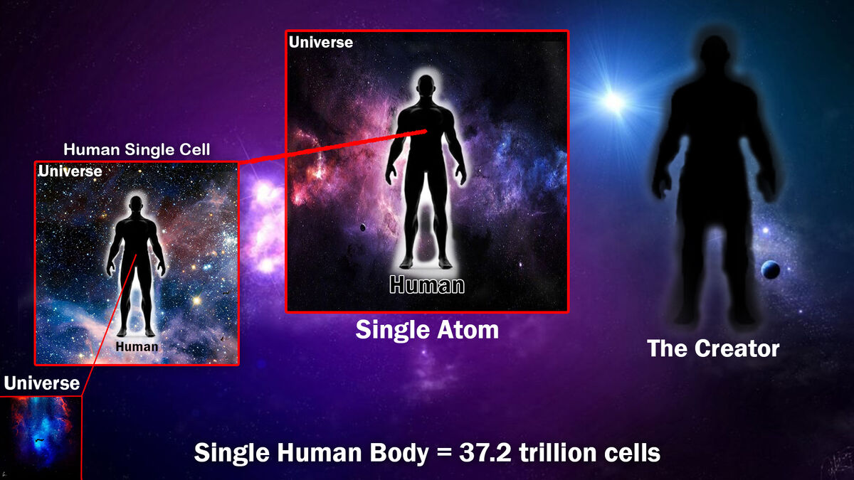 Cosmology | The Daily Life of the Immortal King Wiki | Fandom