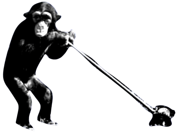 List of The Daily Object Show Mini Galactic Contestants | The Daily ...