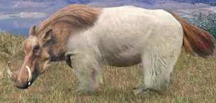 Daoerjameam | The Dao and Bao Wikia | Fandom