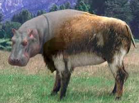 Dao (villain) | The Dao and Bao Wikia | Fandom