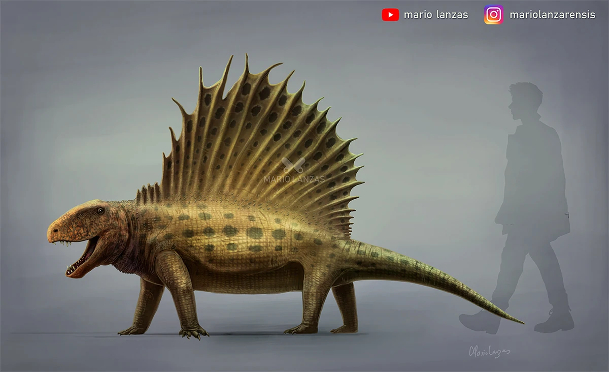 Dimetrodon (BaryonyxLover9870) | The DBWC Fanon Wiki | Fandom