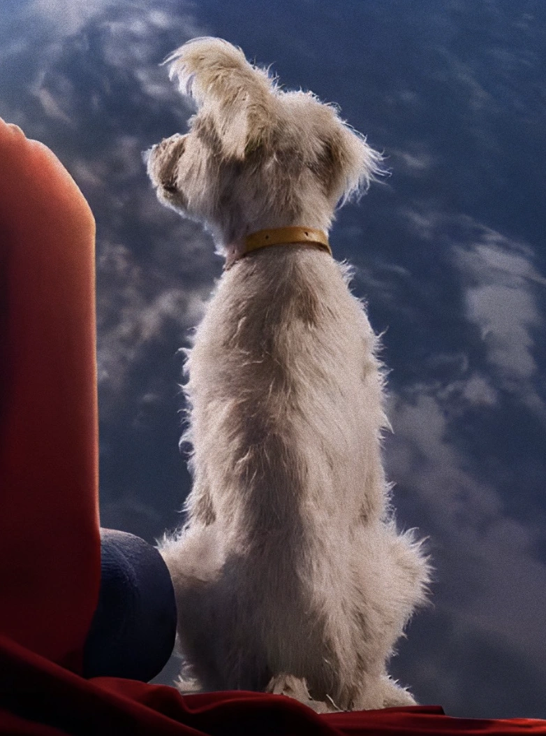 Krypto the Superdog | DC Universe Wiki | Fandom