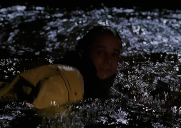 Jaws The Revenge Sean